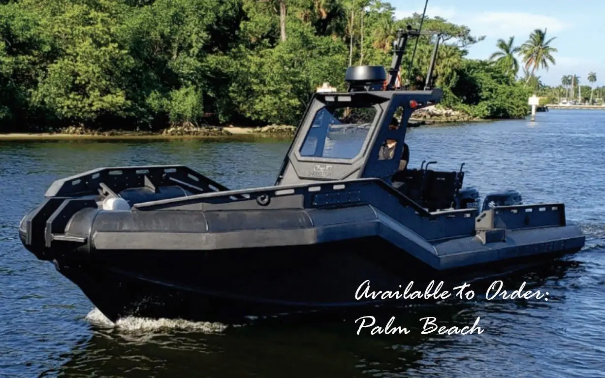 2020 DGS Monster 30 for Sale in Palm Beach, FL #228139
