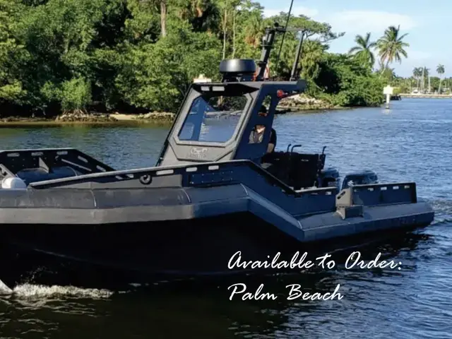 Buy DGS Monster 30 #228139 - Rightboat