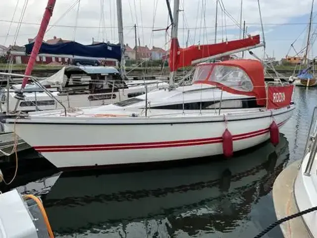 Buy Pegasus 800 #287665 - Rightboat