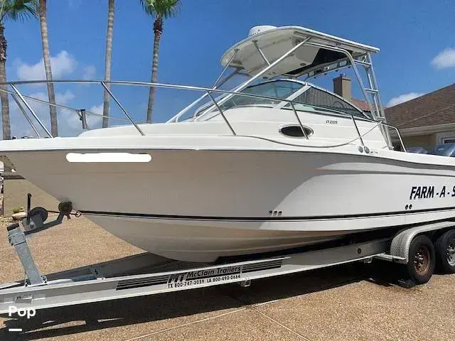 Buy Robalo R265 Walkaround #405330 - Rightboat