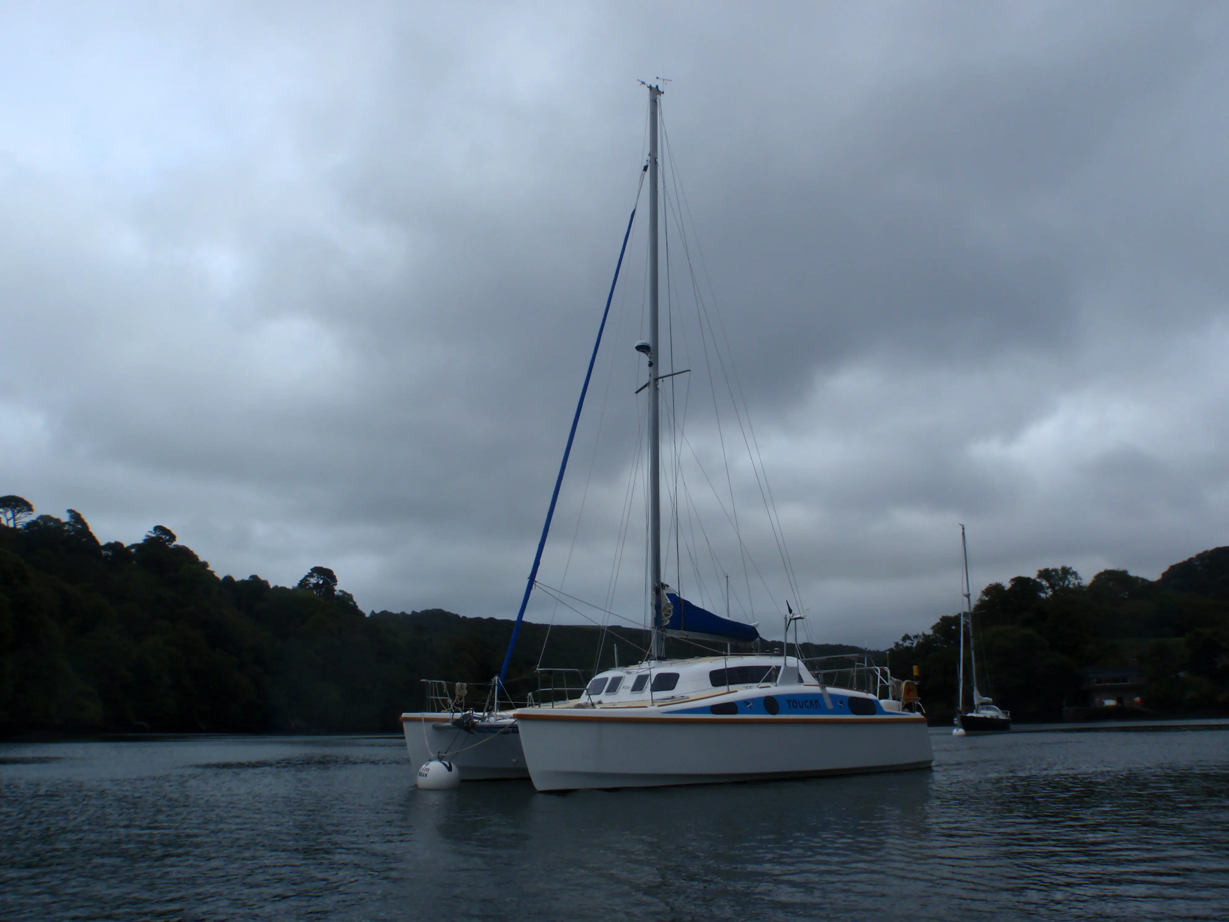 Woods Catamaran Boat For Sale - Waa2