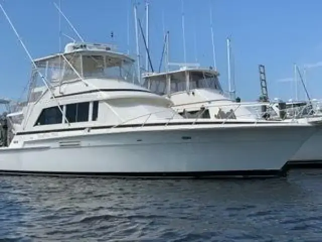 Bertram Yachts for Sale - Rightboat