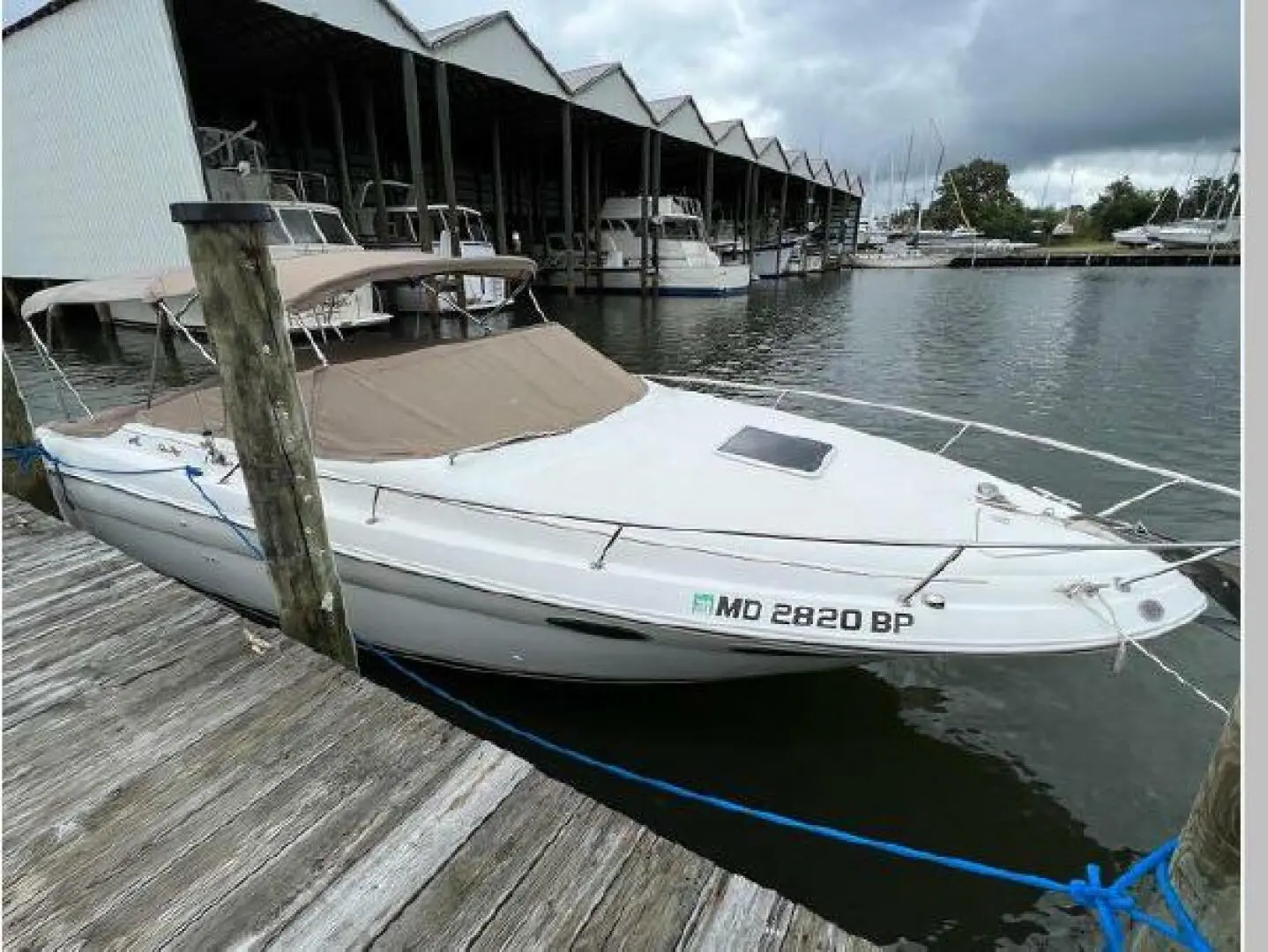 Sea Ray 280 Cuddy Cabin Boat For Sale - Waa2