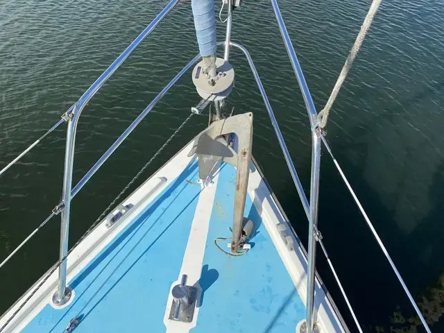 Colvic Countess 28 for sale in United Kingdom, 469187 - Rightboat