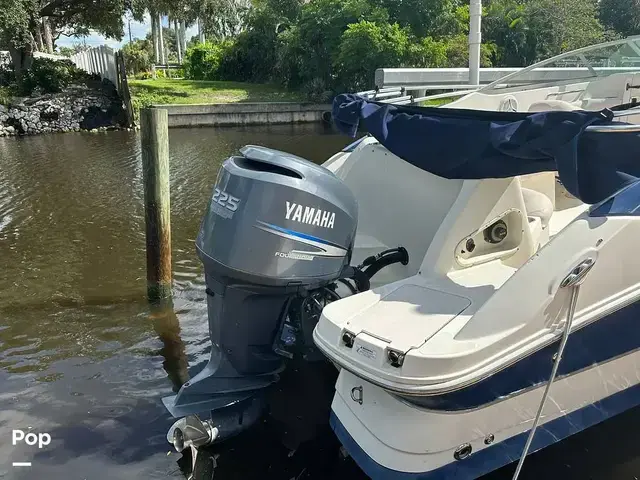 Sea Ray 240 Sundeck Outboard for sale in United States of America ...