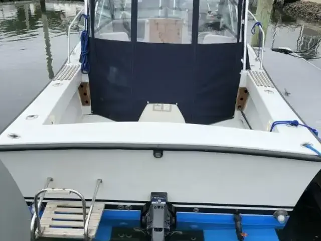 Rampage 24 Express for sale in United States of America, 483316 - Rightboat