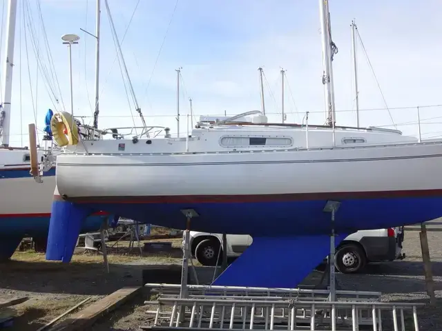 Boatpoint | Choose from Over 379 Boats | Rightboat