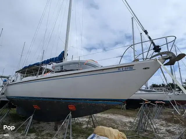 Sailboats for sale in Florida - Rightboat