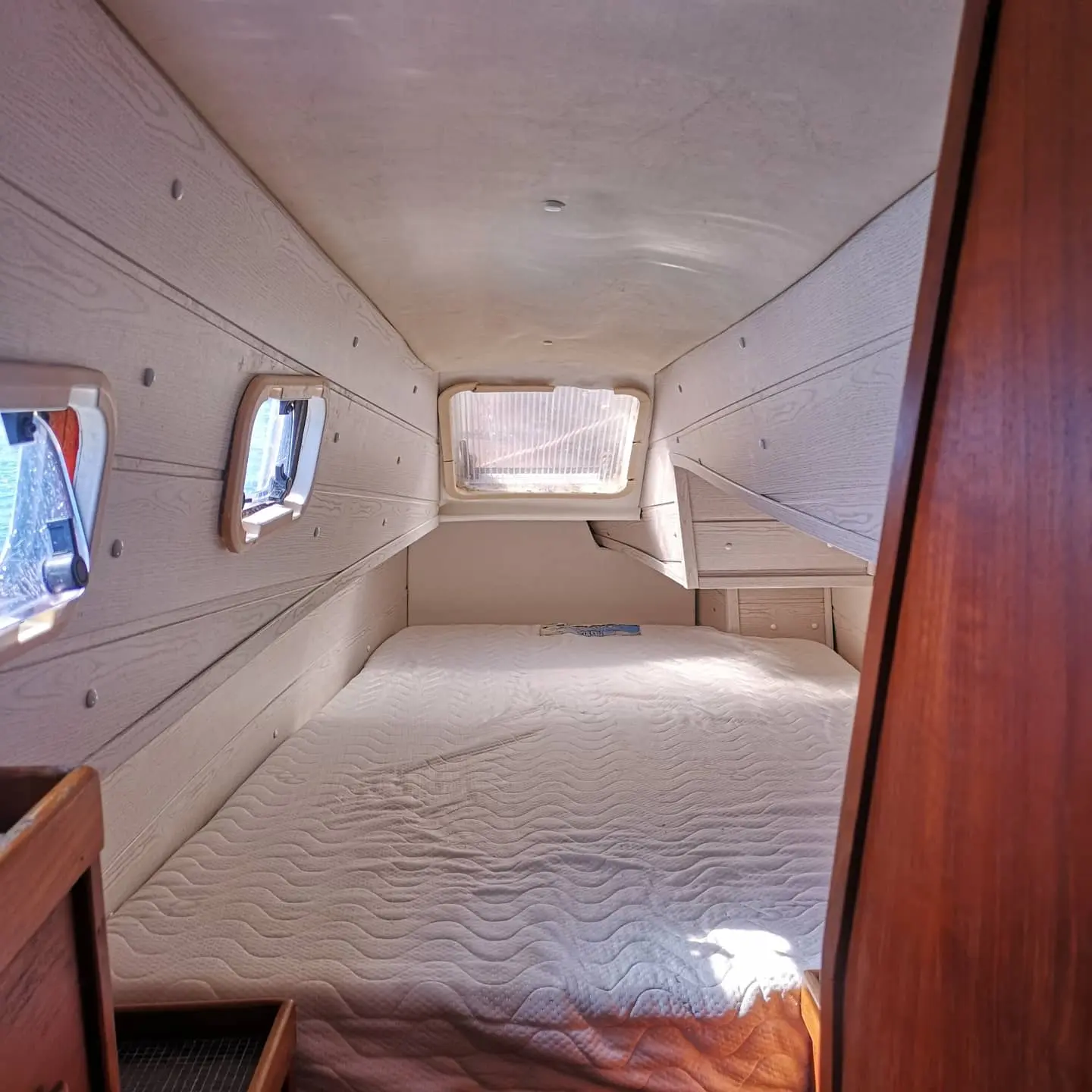 Buy Prout Snowgoose Elite 37 #512219 - Rightboat