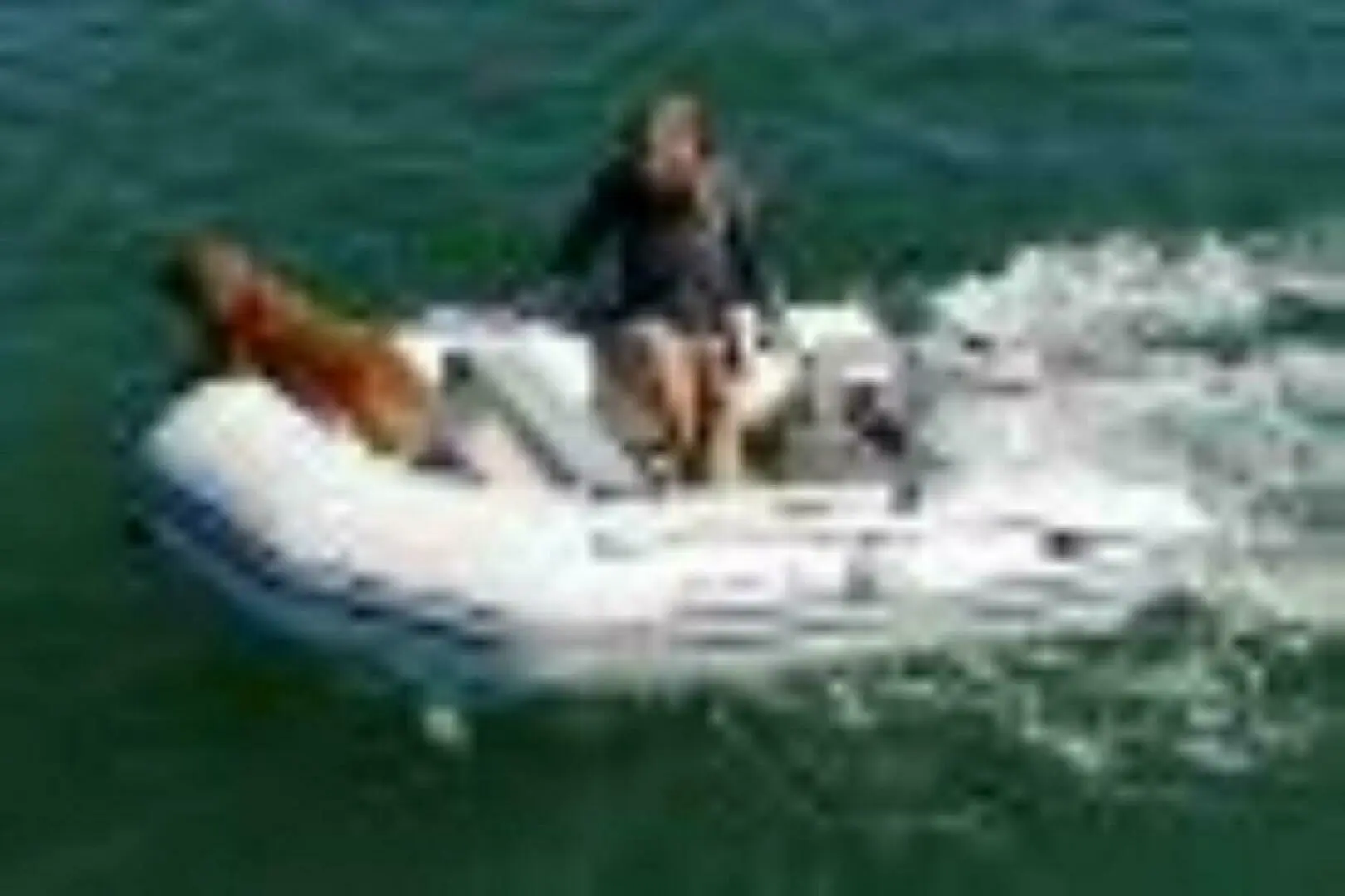 Buy Highfield Roll-Up 250 KAM #520050 - Rightboat