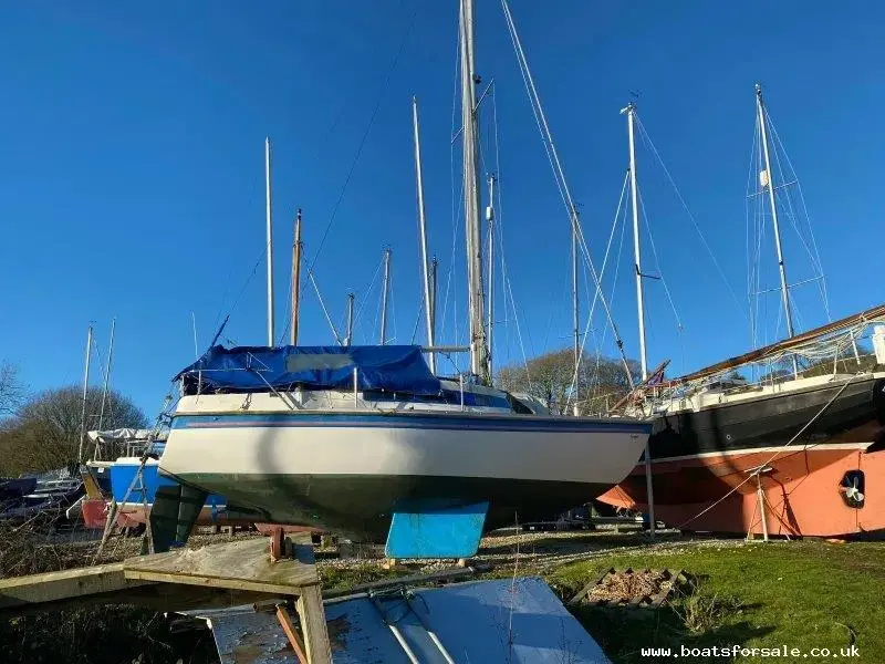 Buy Newbridge Virgo Voyager #457967 - Rightboat