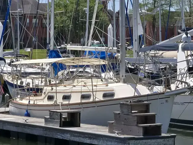 Island Packet 27 for sale in United States of America, 529038 - Rightboat