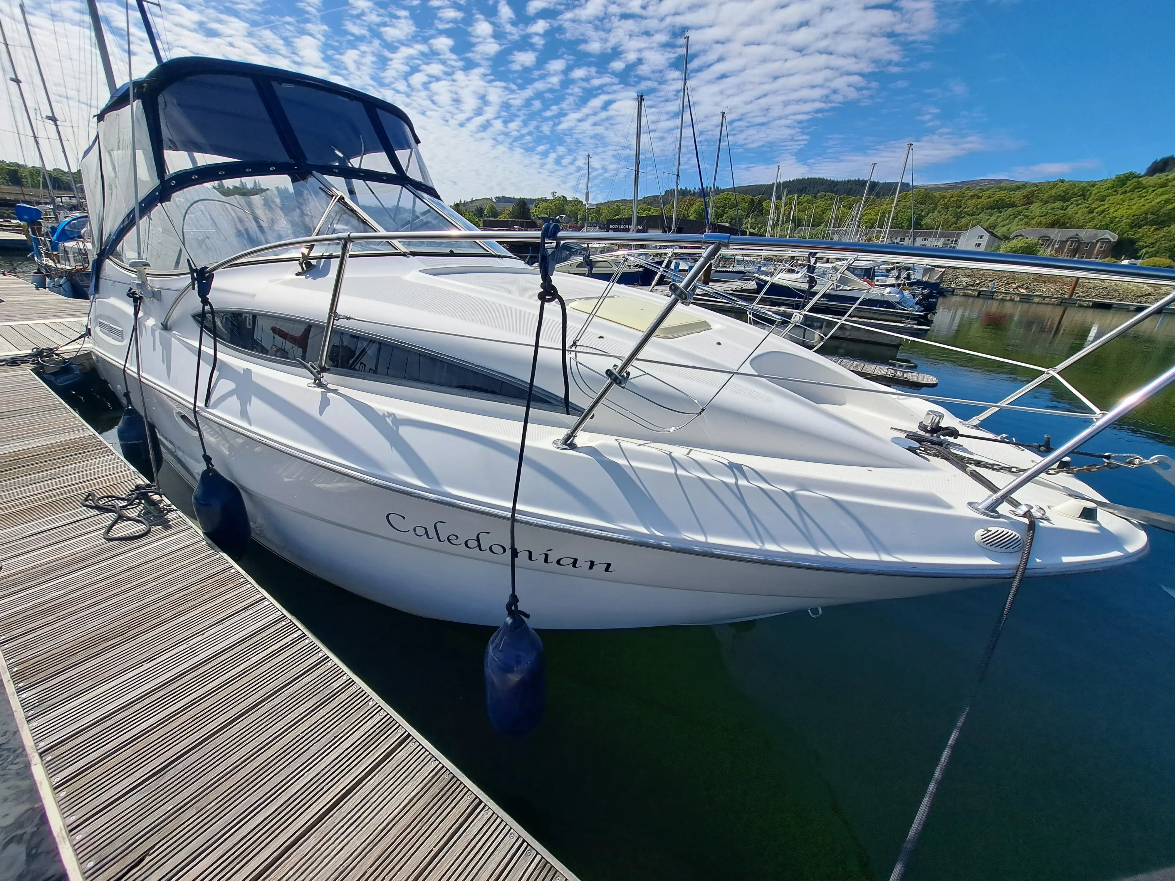 Buy Bayliner 2455 Ciera #531053 - Rightboat