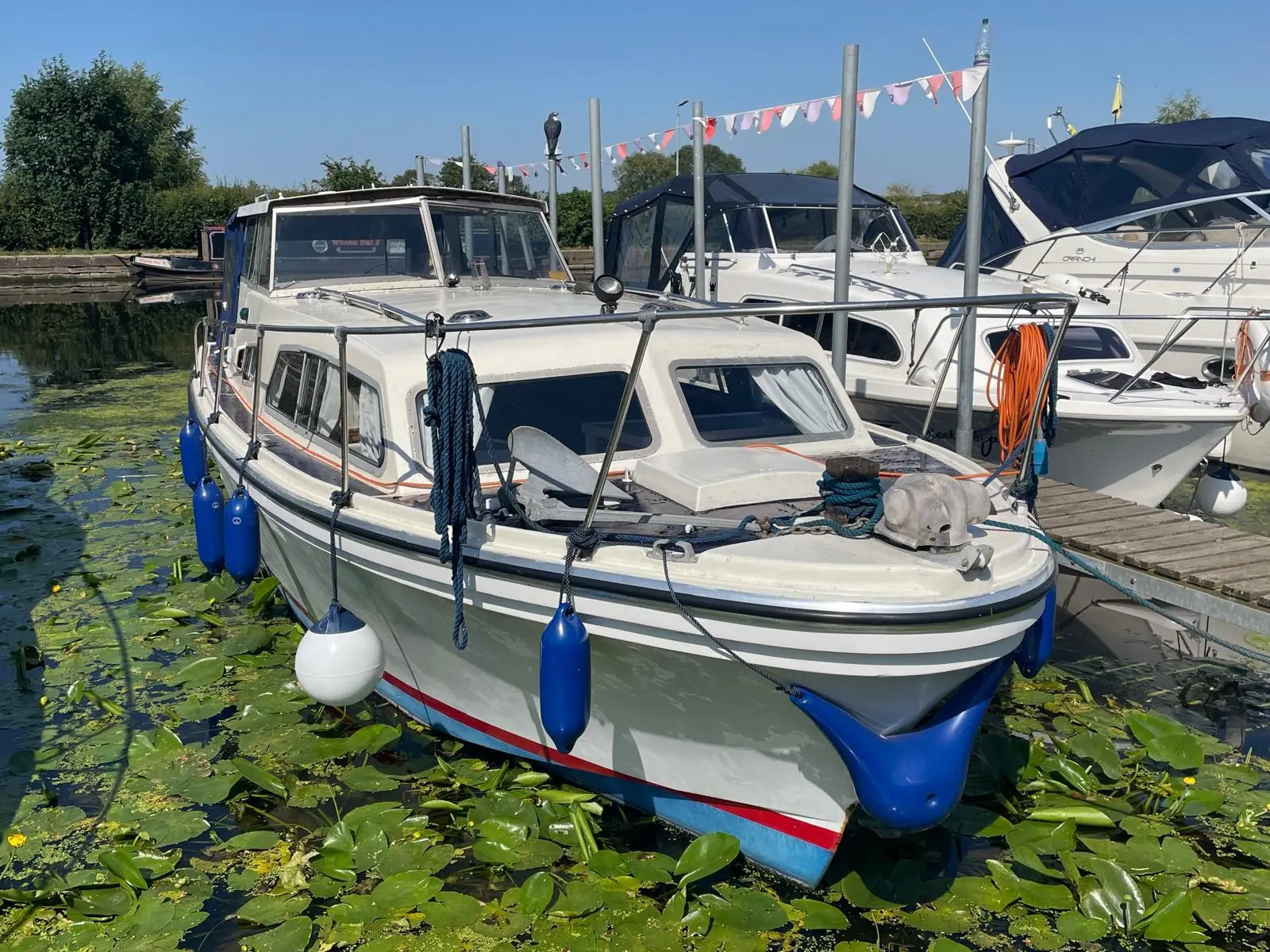 Buy Princess Project 31 #547485 - Rightboat