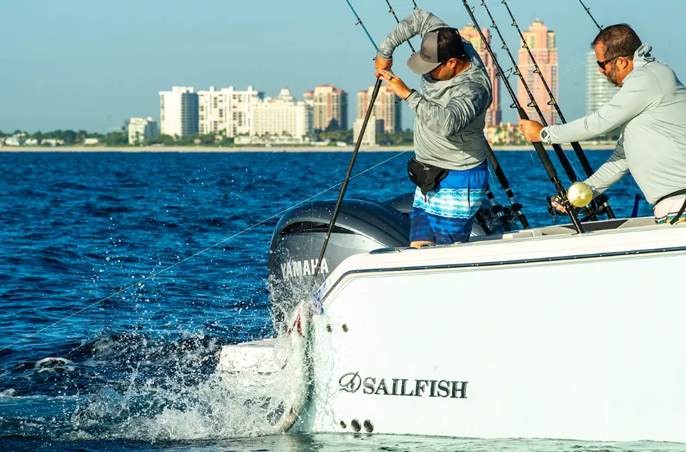 Buy Sailfish 312 CC #554271 - Rightboat