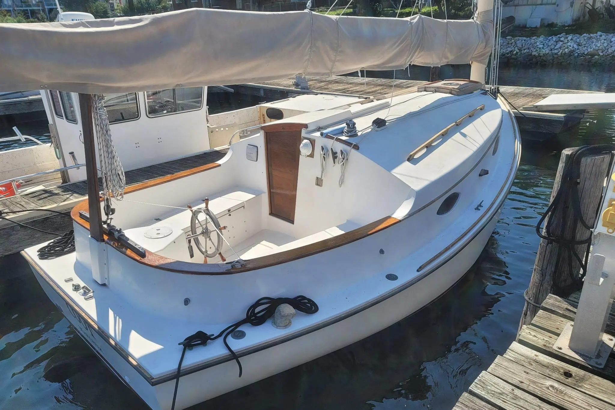 Buy Custom Kitty Cat 21 #554721 - Rightboat