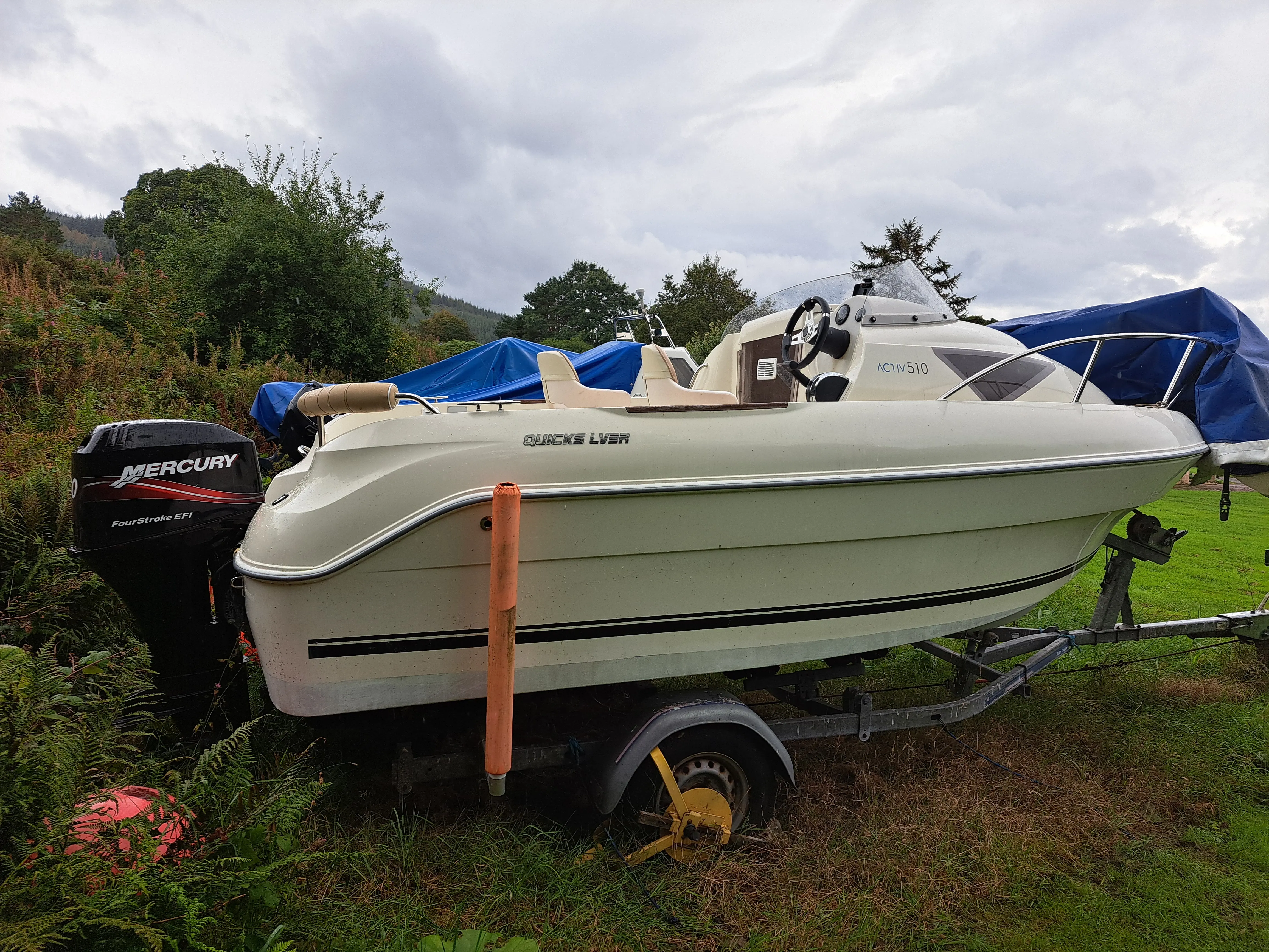Buy Quicksilver 510 Cruiser #554759 - Rightboat