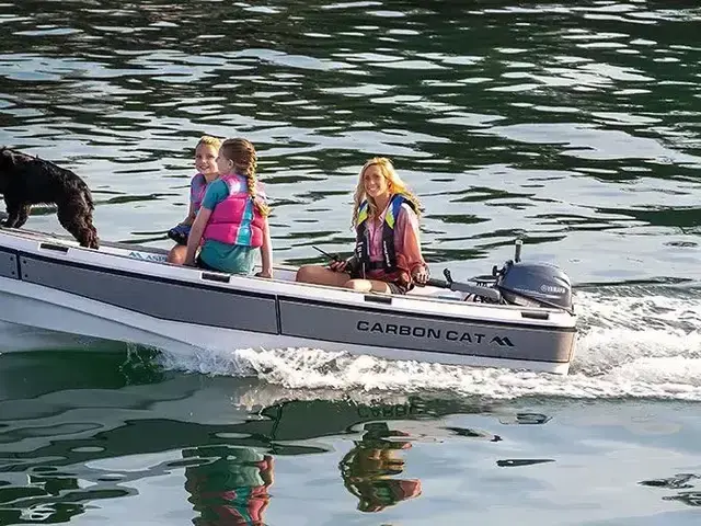 Buy Aspen Carbon Cat T11C #556035 - Rightboat