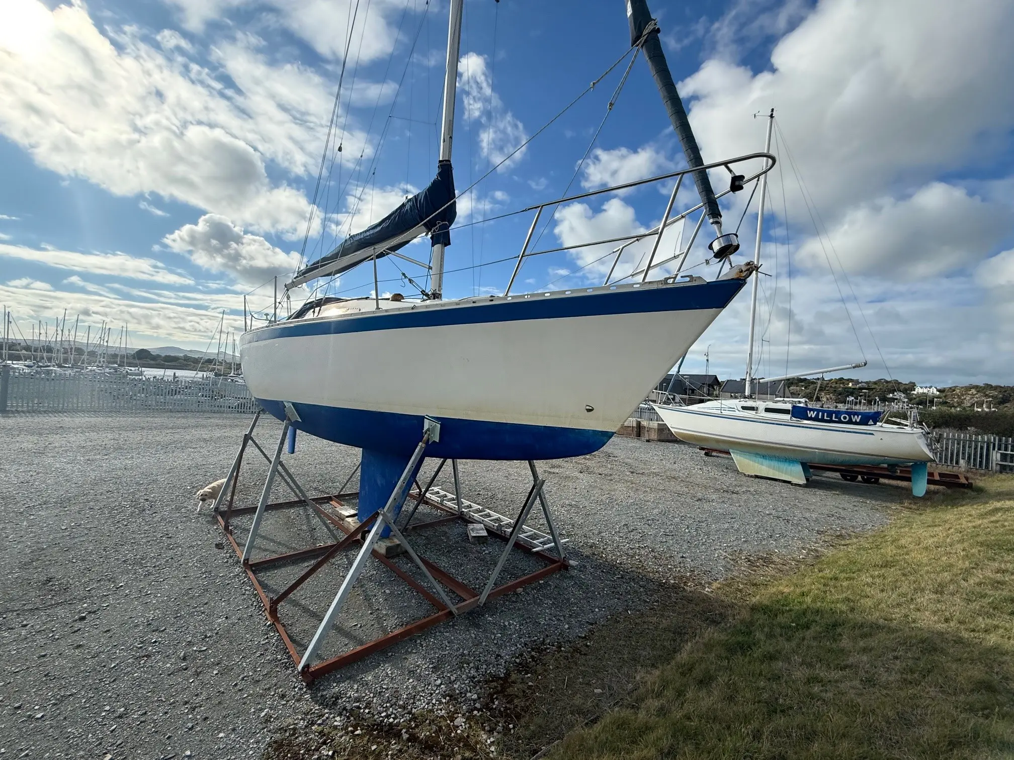 Buy Trapper T30 #558293 - Rightboat