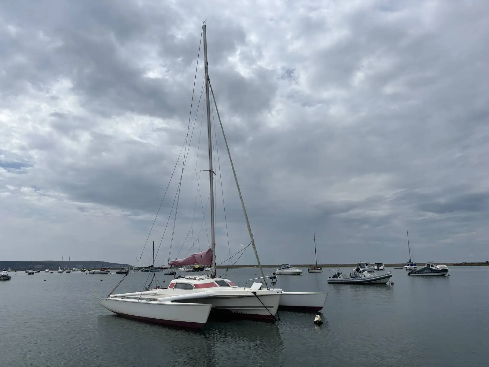 Buy Dragonfly 800 #558338 - Rightboat