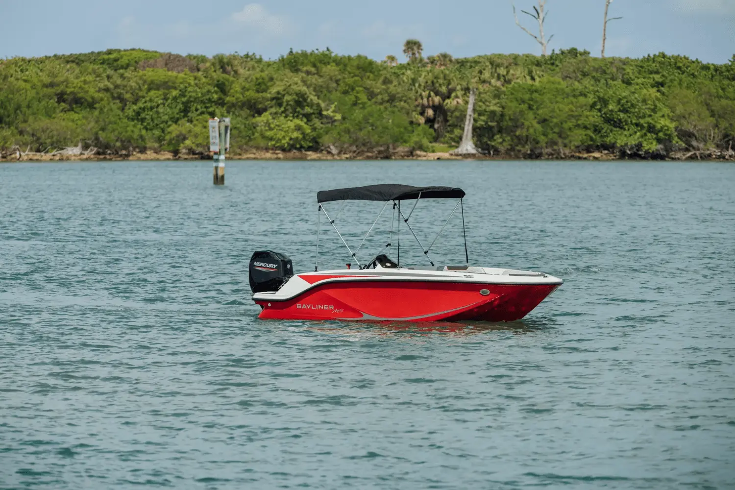 Buy Bayliner Element M15 #566858 - Rightboat