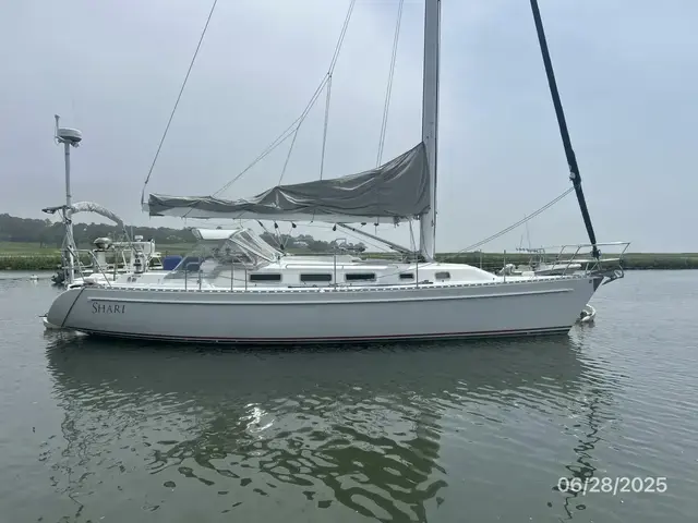 Freedom Yachts for Sale