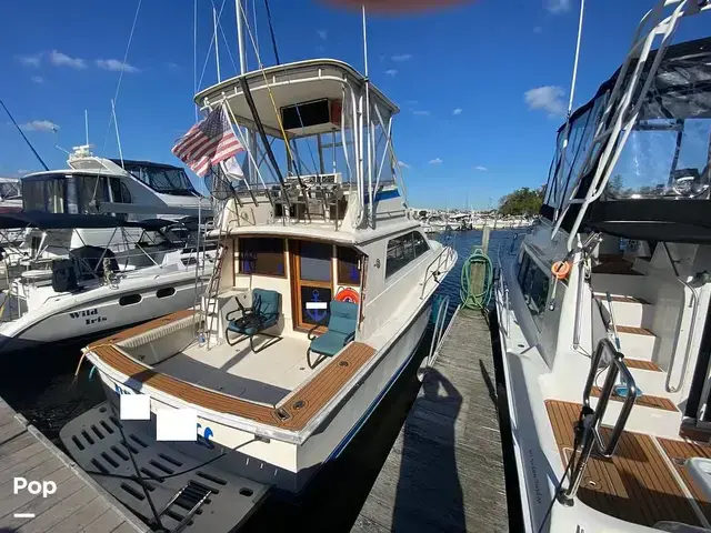 1990 Pacemaker 37 #558497 for Sale in Toms River, New Jersey