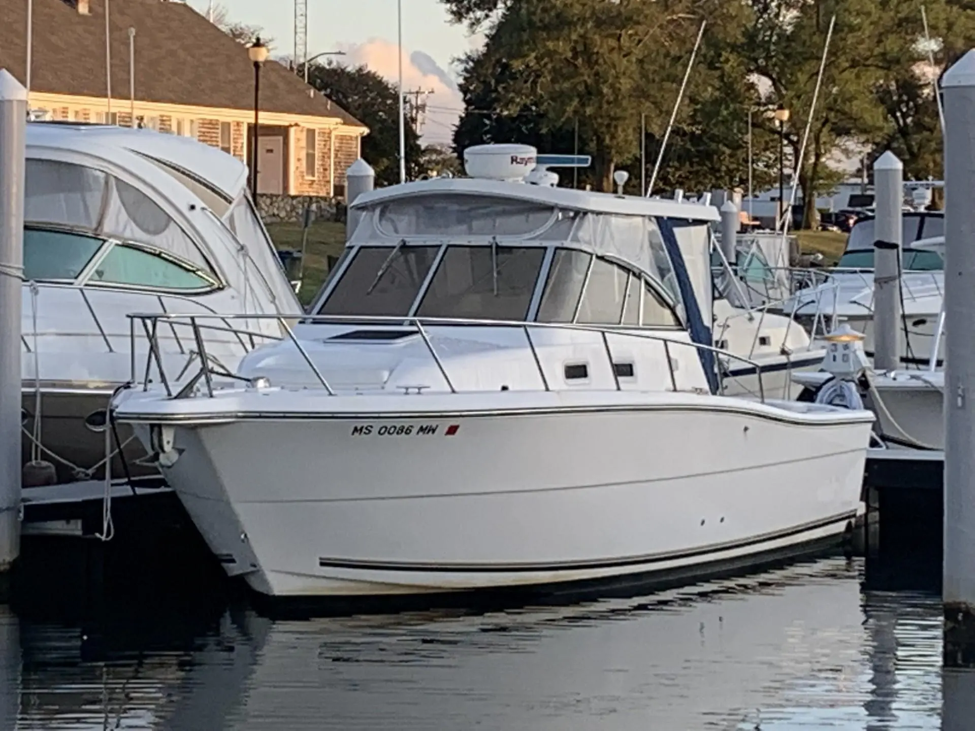 Buy Shamrock 290 Walkaround #575463 - Rightboat