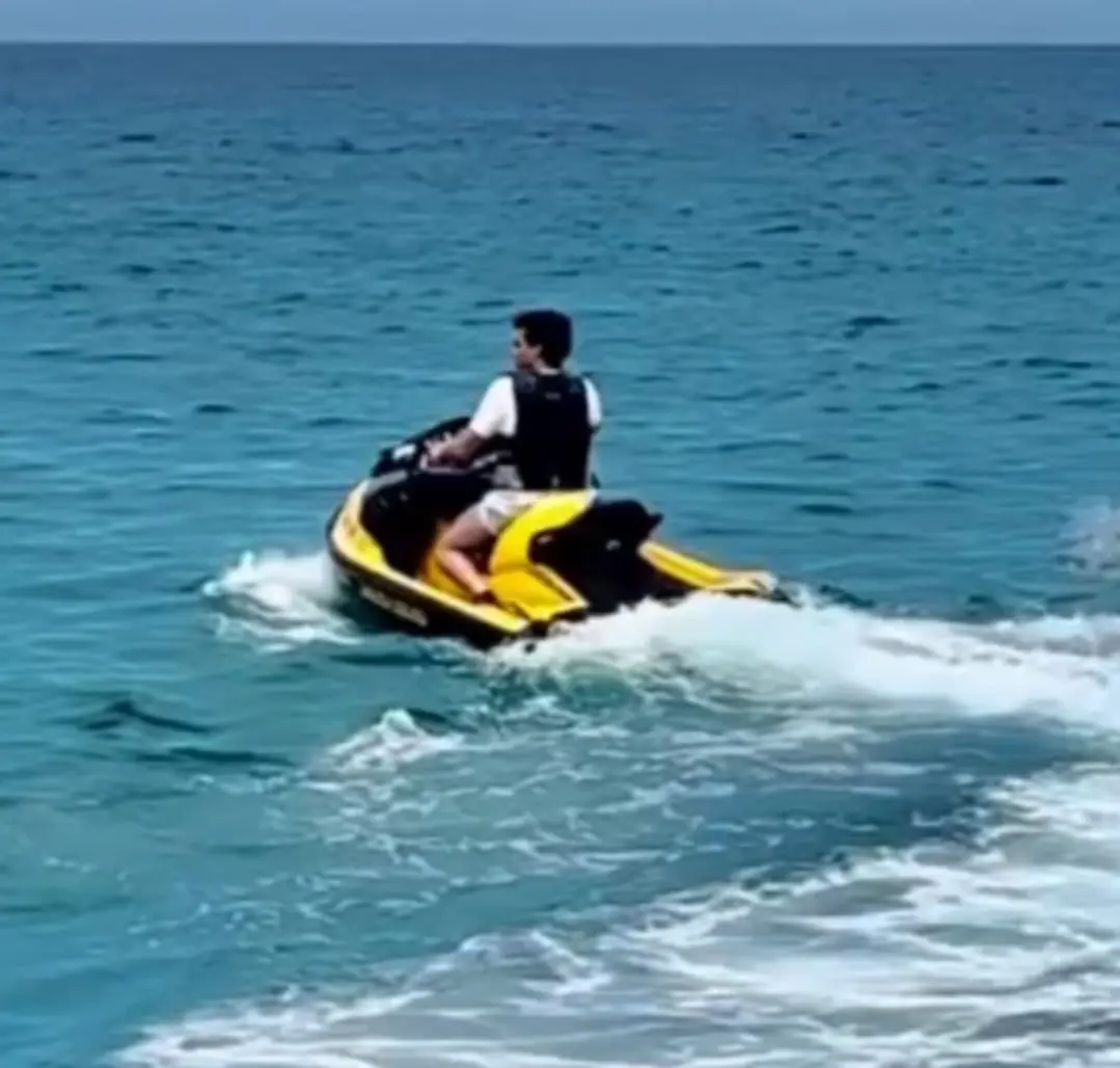 Buy Sea Doo 230 #576288 - Rightboat
