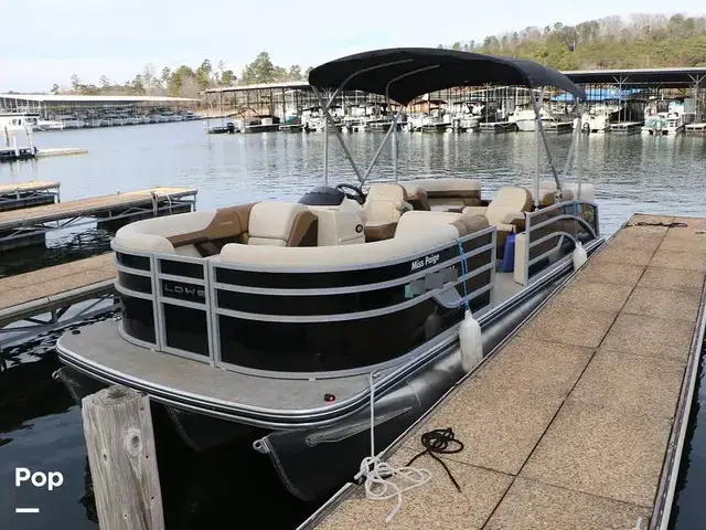 Buy Lowe SS230W #576937 - Rightboat