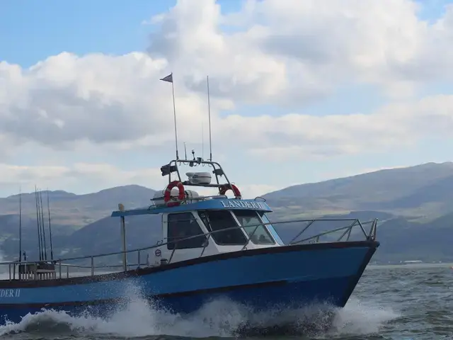1986 Cygnus Cyfish 33 for Sale in Bangor, Gwynedd, #1909...